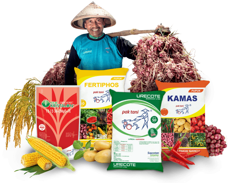 Pupuk NPK Pupuk Unggulan Untuk Para Petani | Saprotan Utama