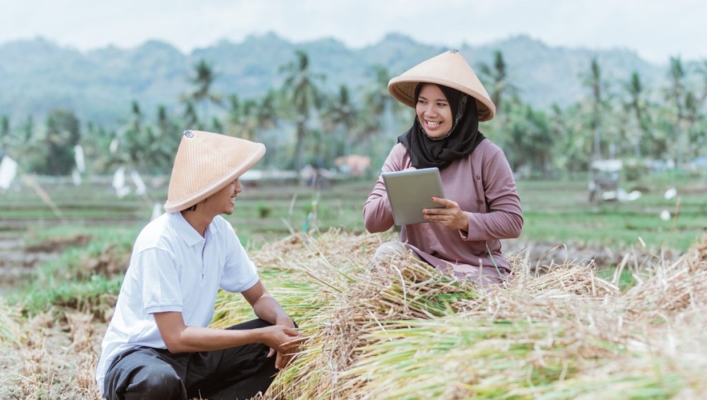 Analisa Usaha Tani - Perumperindo.co.id