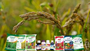 Pupuk NPK Pupuk Unggulan Untuk Para Petani | Saprotan Utama